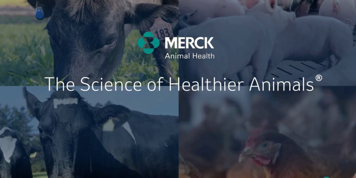 Merck & IGA Earth Week